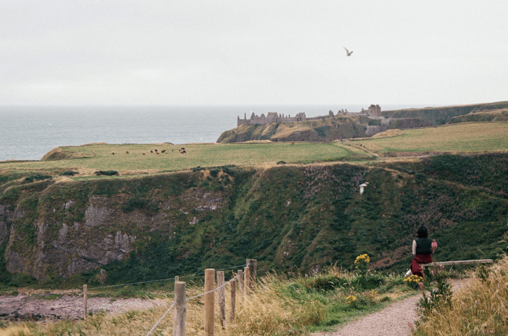 Mapastepec, naturaleza y tradicion chiapaneca Articulos y tips de viaje ...